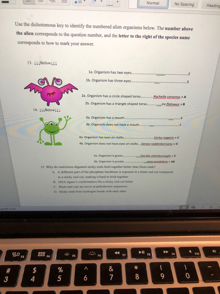Solved Use the dichotomous key to identify the numbered | Chegg.com