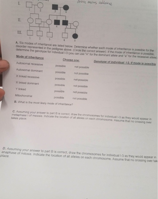 Solved I. 다:O A. Six modes of inheritance are listed below | Chegg.com