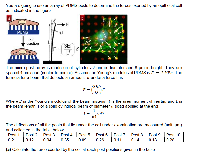 Solved You are going to use an array of PDMS posts to | Chegg.com