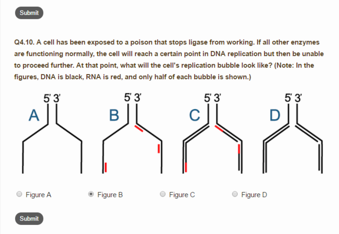 Solved Submit Q4.10. A cell has been exposed to a poison | Chegg.com