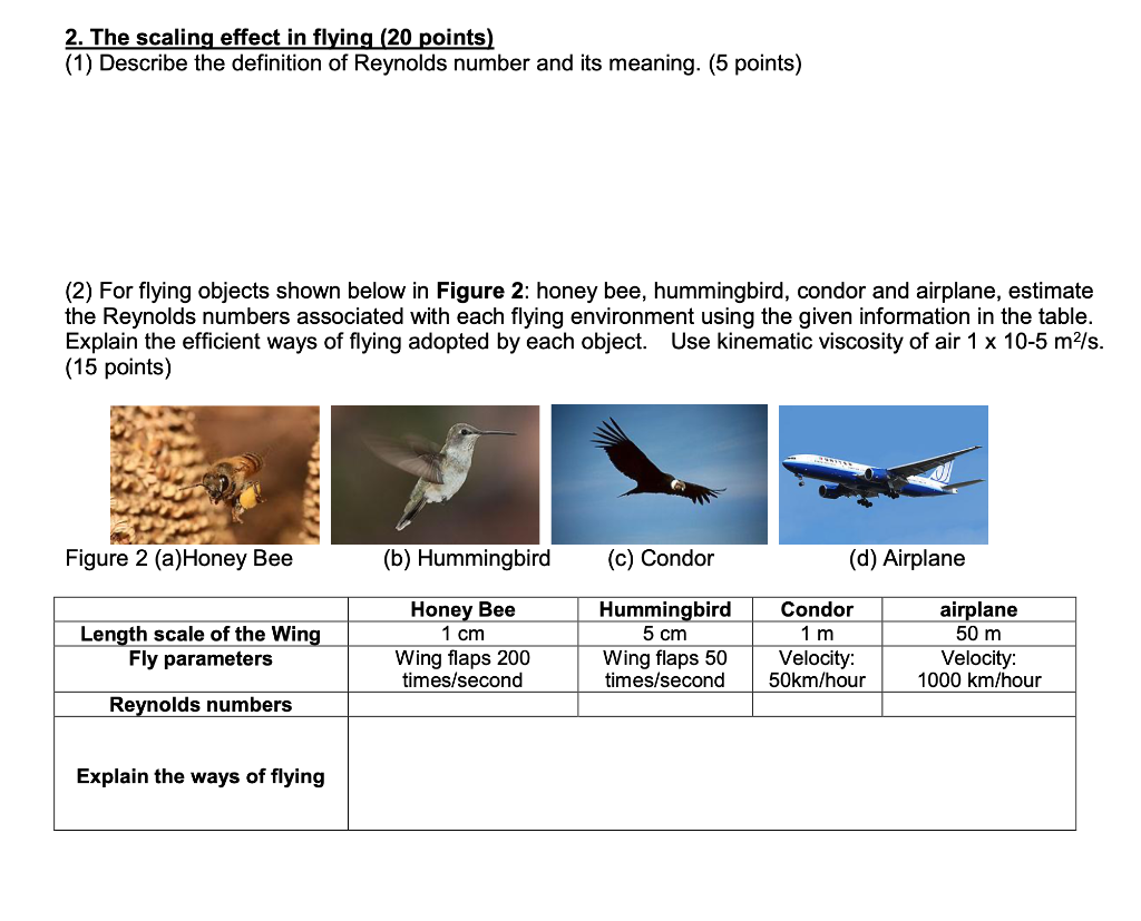 Solved 2. The scaling effect in flying (20 points) (1) | Chegg.com