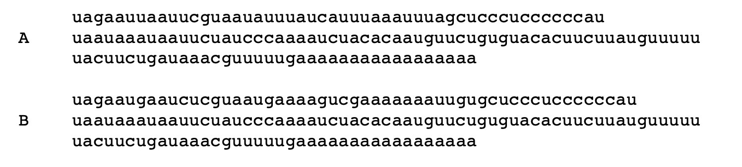 Solved Consider the two 3' UTR RNA sequences shown below. | Chegg.com