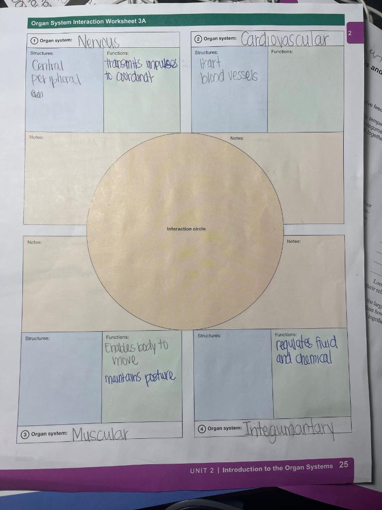 In activity 3A you will explore the interactions | Chegg.com