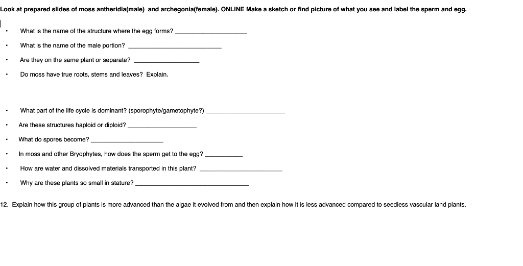 Look at prepared slides of moss antheridia(male) and | Chegg.com