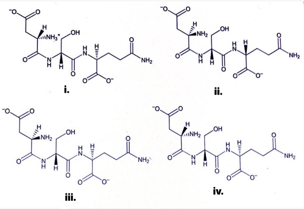 Solved BENIH ОН H VINH, ОН + NH2 NH2 NH2 0 ii. H in OH ОН | Chegg.com