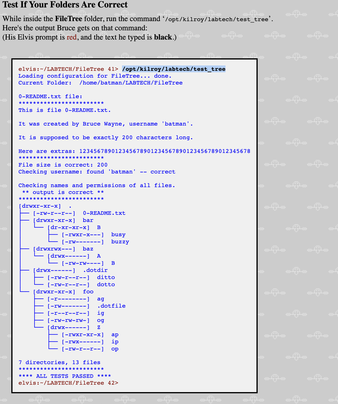 Create a Directory In your LabTech folder on Elvis | Chegg.com