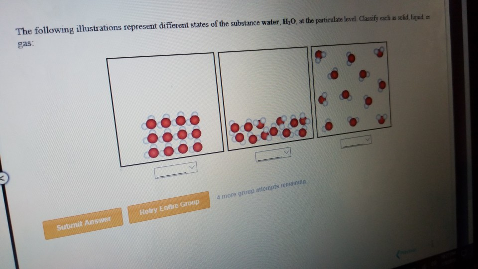 Solved The following illustrations represent different | Chegg.com