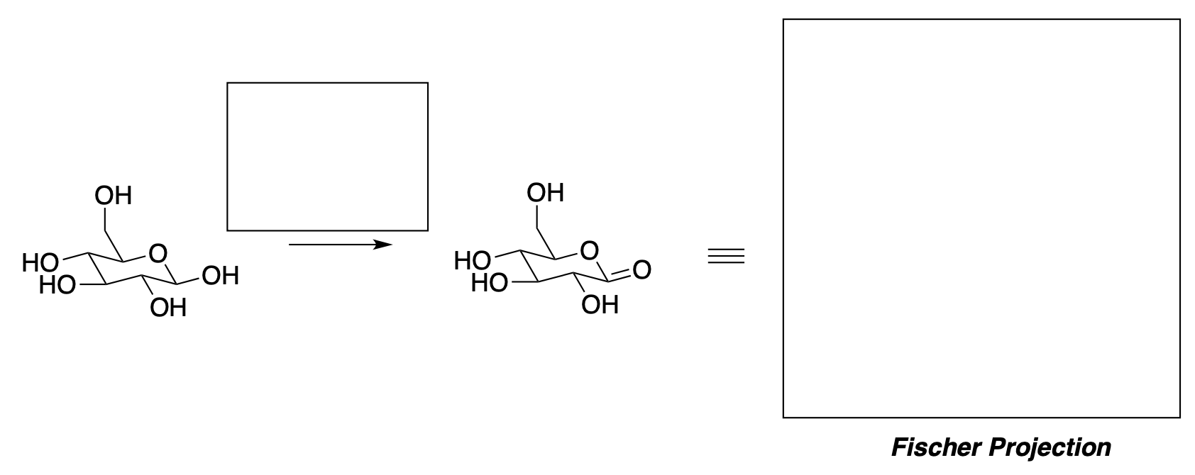 Solved Fischer Projection | Chegg.com