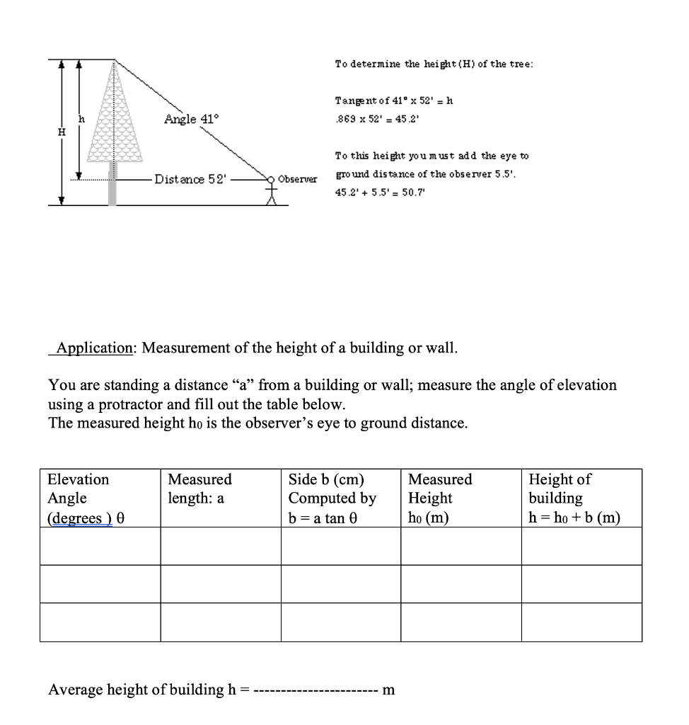 Solved To determine the height(H) of the tree: Tangent of | Chegg.com