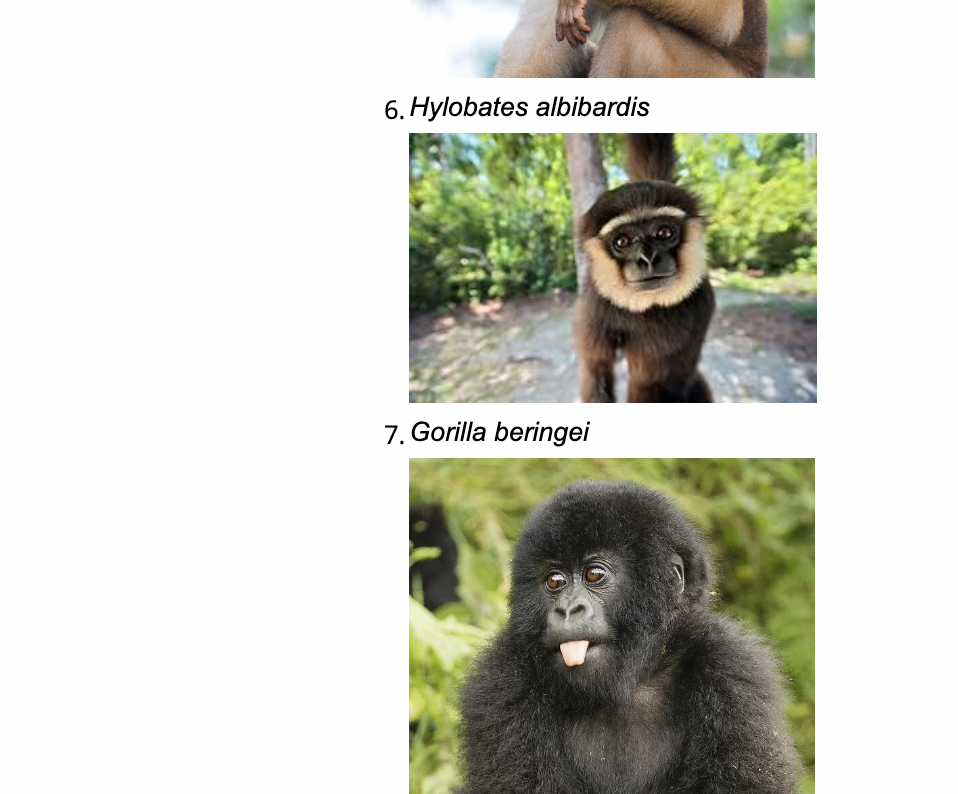 Solved Part 4 Primate Taxonomy This image is a simplified | Chegg.com
