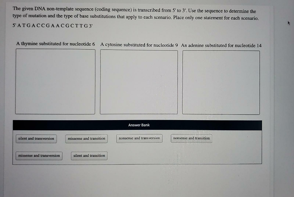 Solved The given DNA non-template sequence (coding sequence) | Chegg.com Solved The given DNA non-template sequence (coding sequence) | Chegg.com