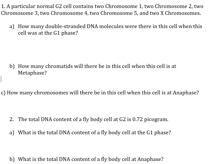 Solved 1. A particular normal G2 cell contains two | Chegg.com