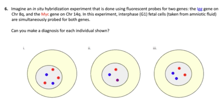 Solved 6. Imagine an in situ hybridization experiment that | Chegg.com