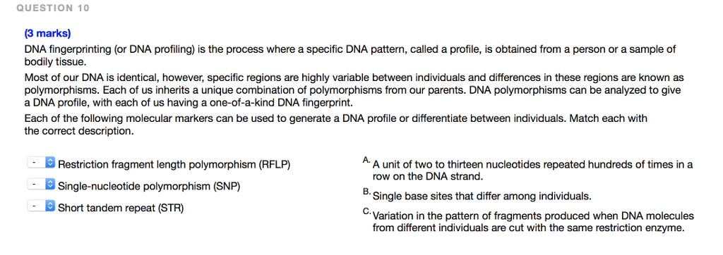 Solved QUESTION 10 (3 marks) DNA fingerprinting (or DNA | Chegg.com