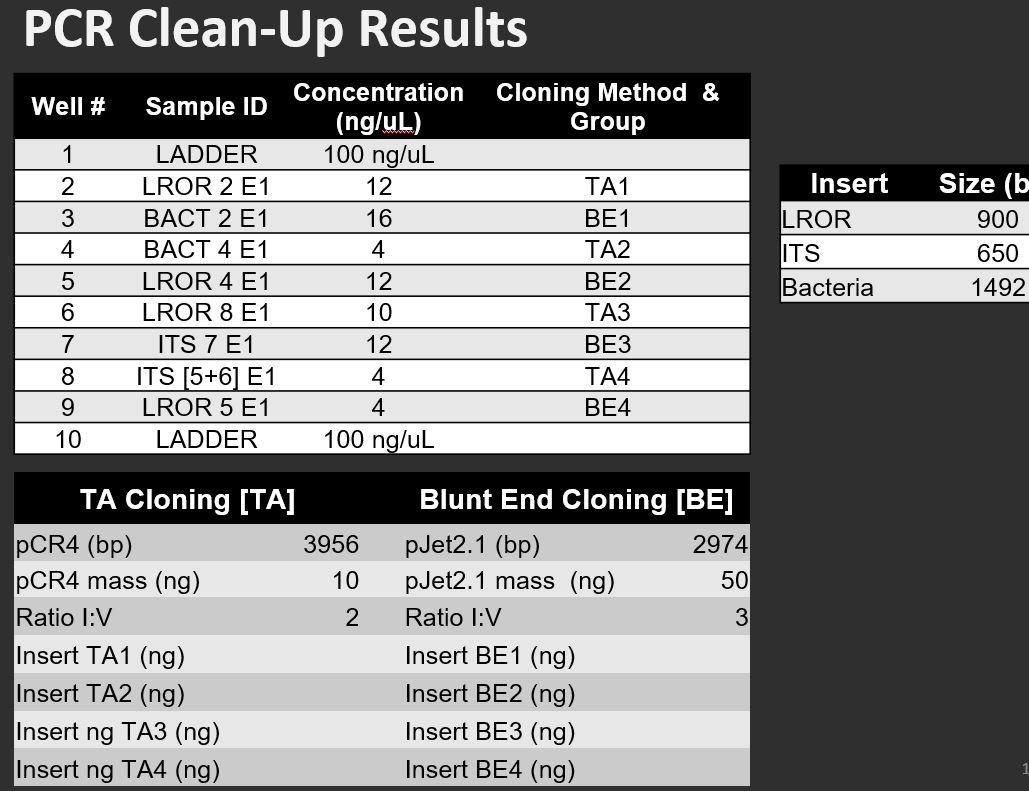 PCR Clean-Up Results Well # Cloning Method & Group 1 | Chegg.com