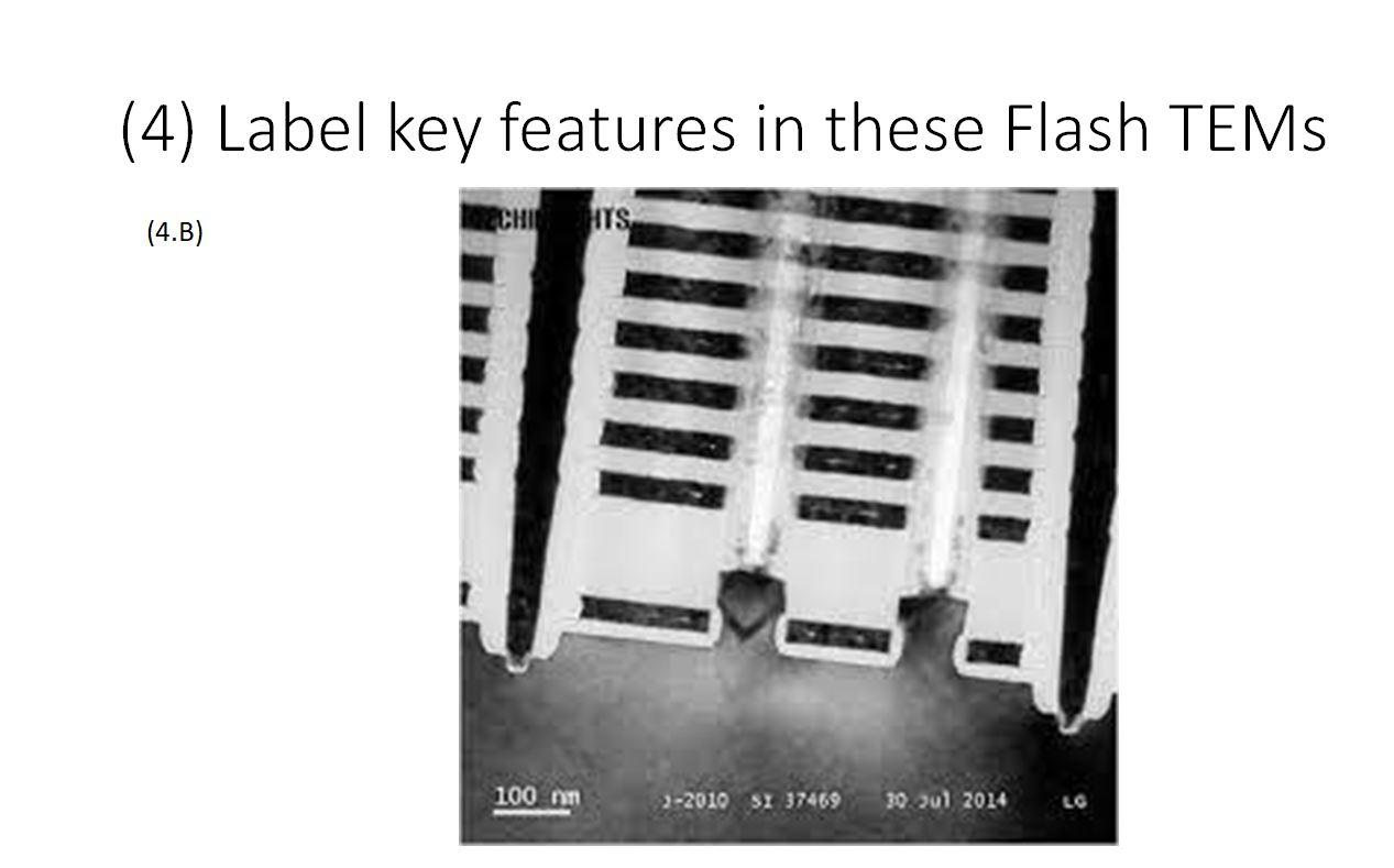 Solved (4) Label key features in these Flash TEMs (4.B) | Chegg.com