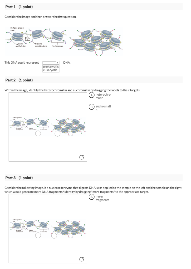 Solved Part 1 (1 point) Consider the image and then answer | Chegg.com