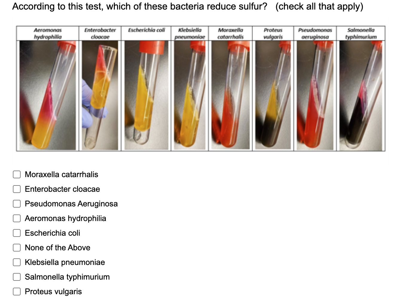 Solved According to this test, which of these bacteria | Chegg.com