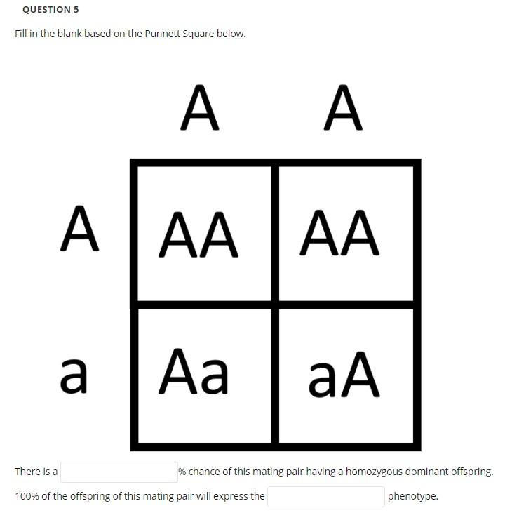 Blank Punnett Square