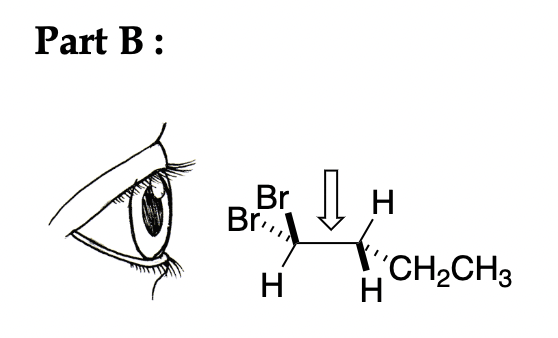 Solved Newman Projections 1. Construct a model of the | Chegg.com