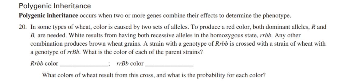 Solved Polygenic Inheritance Polygenic inheritance occurs | Chegg.com