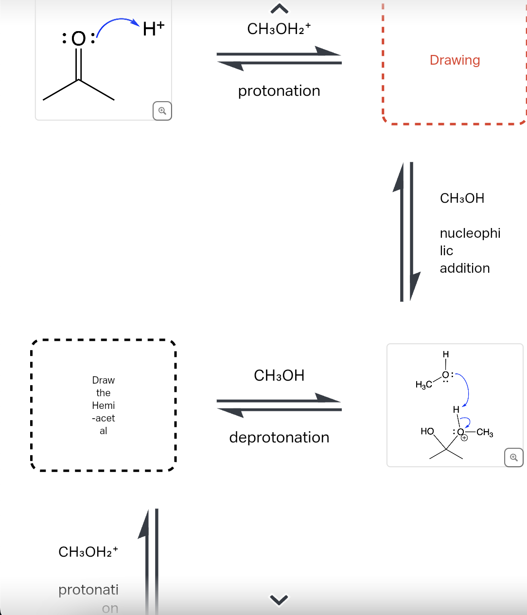 Solved Draw the CH3OH demi deprotonation CH3OH2+ protonati | Chegg.com