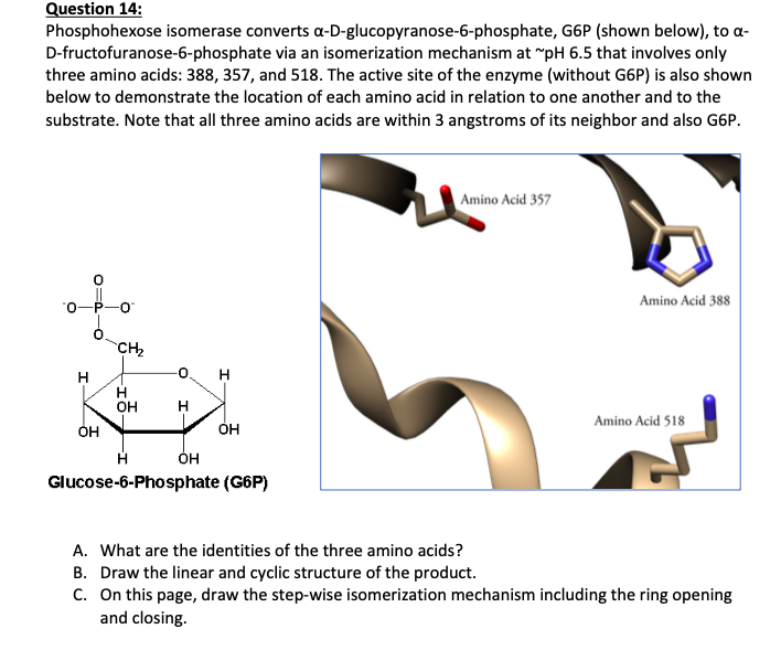 Solved Question 14: Phosphohexose isomerase converts | Chegg.com