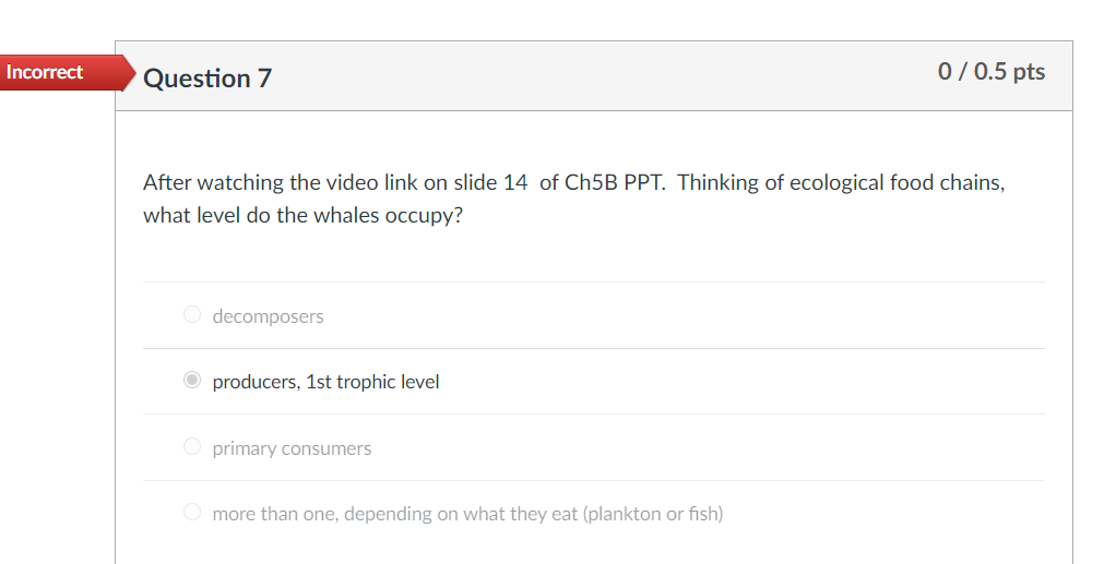 Solved Incorrect Question 7 0/0.5 pts After watching the | Chegg.com