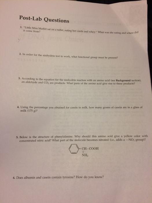 Solved Post-Lab Questions 1. "Little Miss Muffet sat on a | Chegg.com