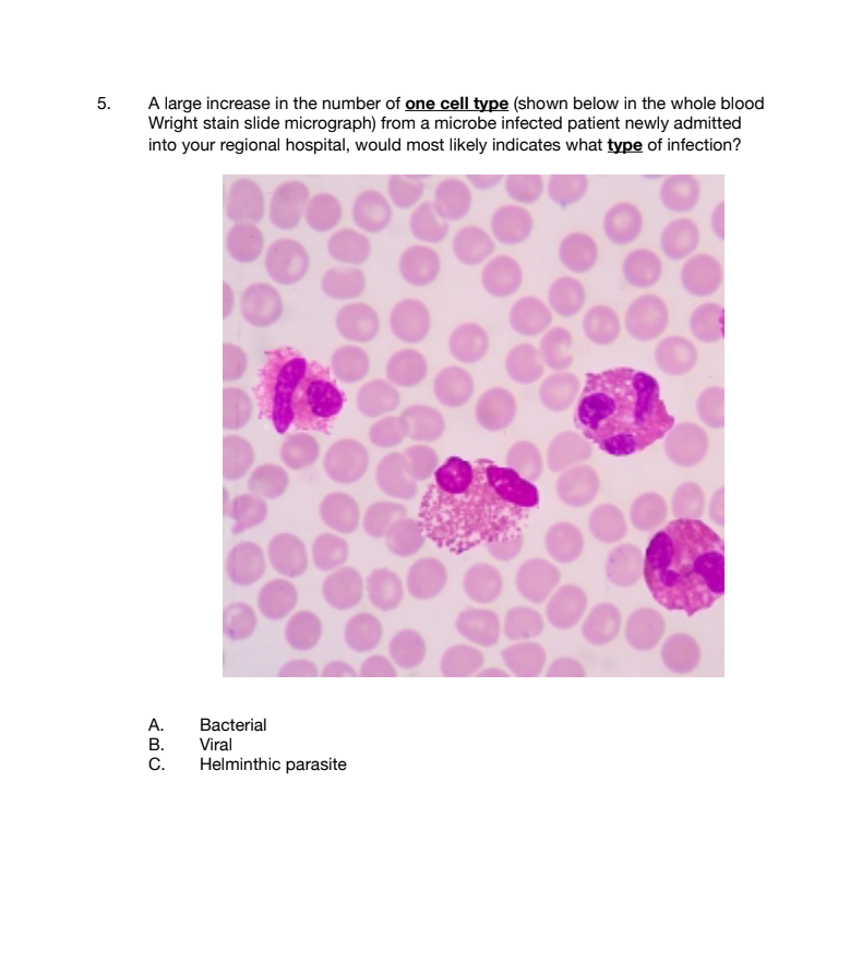 Solved 5. A large increase in the number of one cell type | Chegg.com