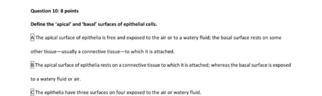 Solved Question 10:8 points Define the 'apical' and 'basal' | Chegg.com
