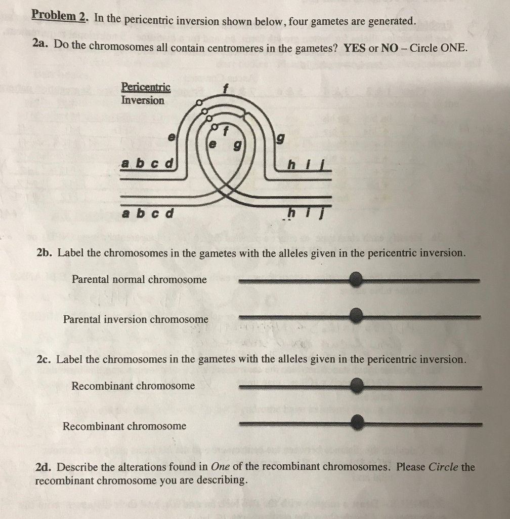 Solved Problem 2. In the pericentric inversion shown below, | Chegg.com