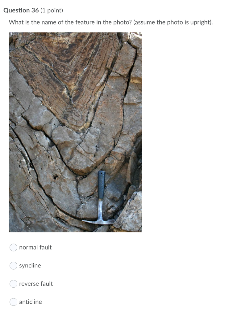 Solved Question 36 (1 point) What is the name of the feature | Chegg.com