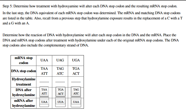 Solved Step 5: Determine how treatment with hydroxyamine | Chegg.com