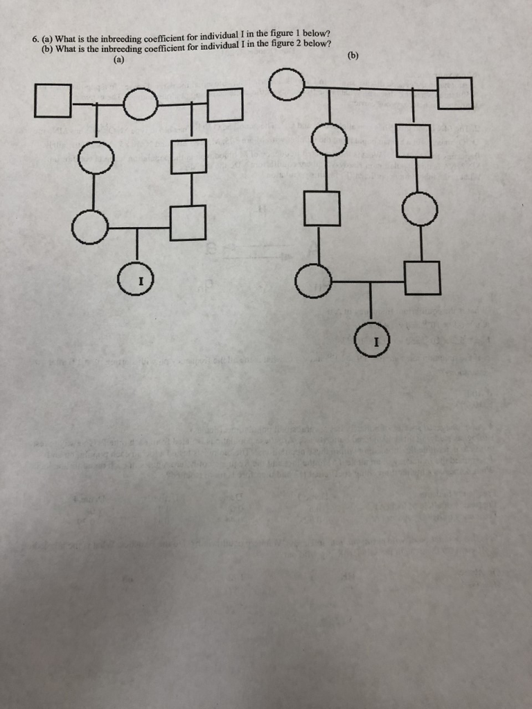 Solved 6. (a) What is the inbreeding coefficient for | Chegg.com