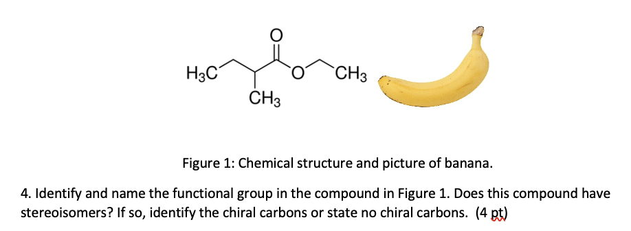 Solved O H3C1 CH3 CH3 Figure 1: Chemical structure and | Chegg.com
