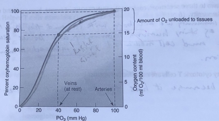 Solved The oxyhemoglobin dissociation curve above represents | Chegg.com