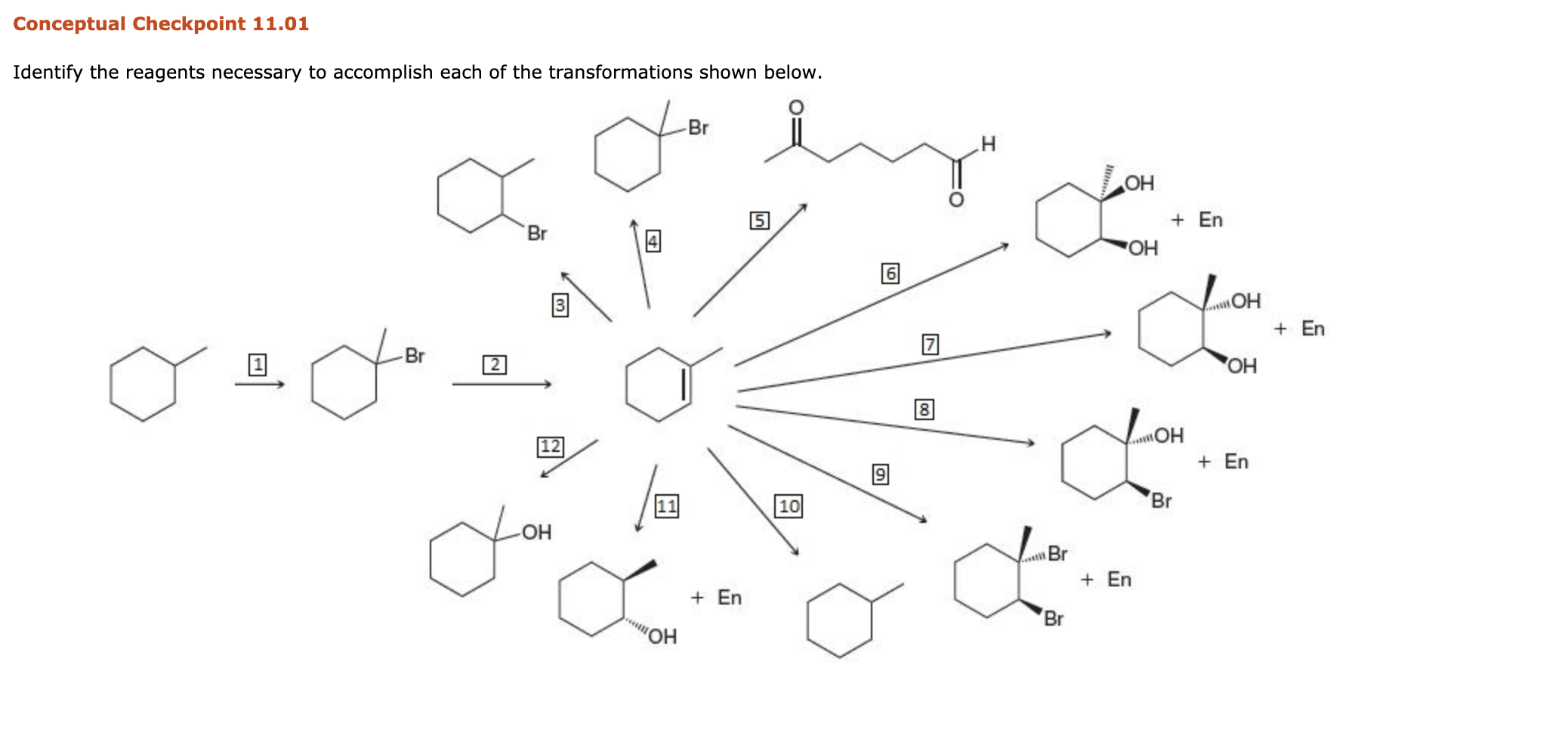 Solved Conceptual Checkpoint 11.01 Identify the reagents | Chegg.com