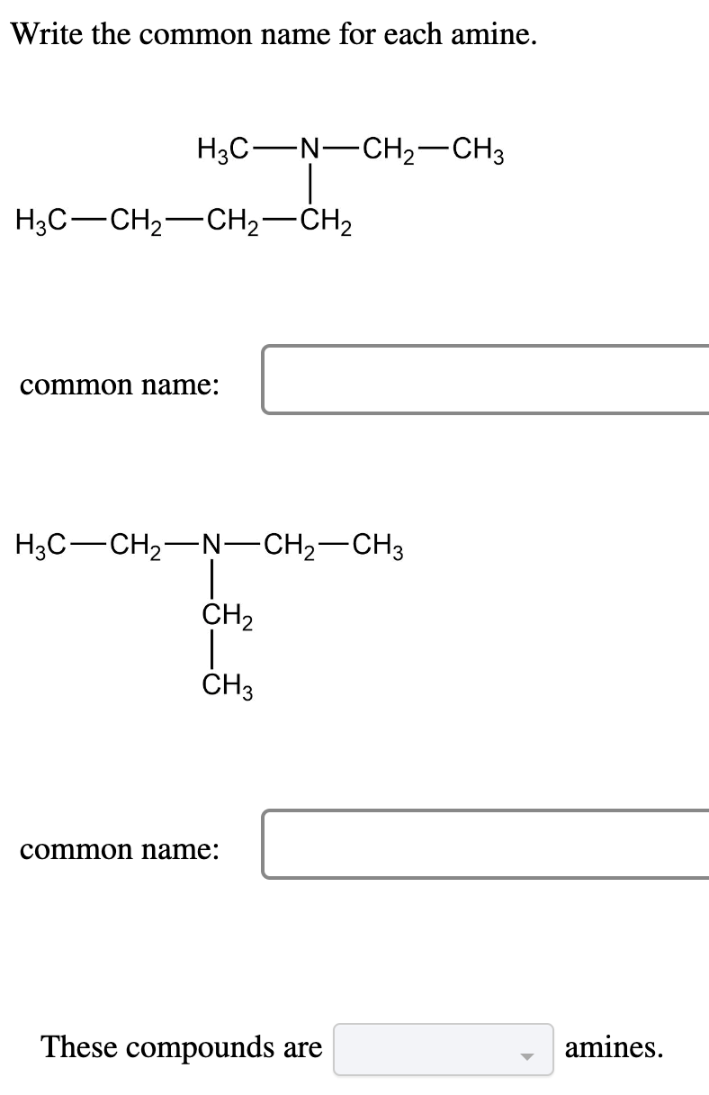 Solved Write the common name for each amine. common name: | Chegg.com