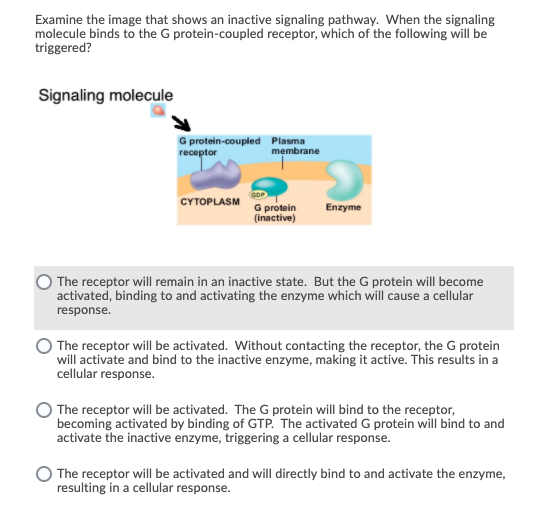 Solved Examine the image that shows an inactive signaling | Chegg.com