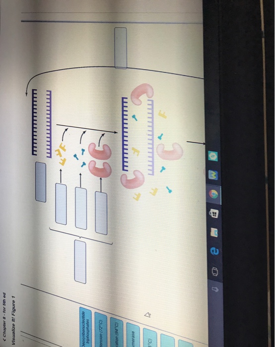 Solved 《Chapter 8-for 5th ed Visualize It! Figure1 (72 C) | Chegg.com