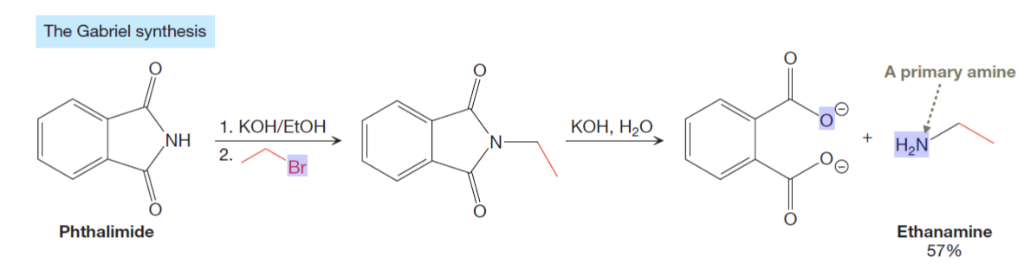 Solved The Gabriel synthesis A primary amine KOH, H20 . | Chegg.com