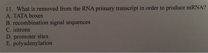 Solved 11. What is removed from the RNA primary transcript | Chegg.com
