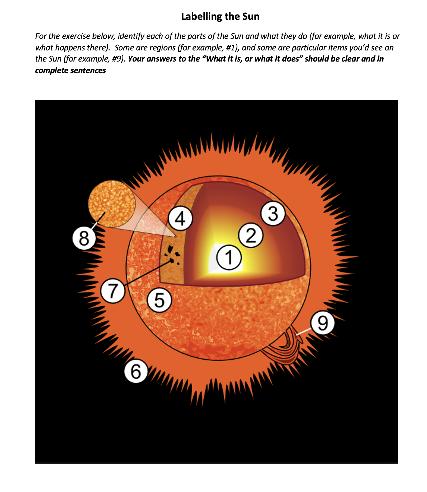 Solved For the exercise below, identify each of the parts of | Chegg.com