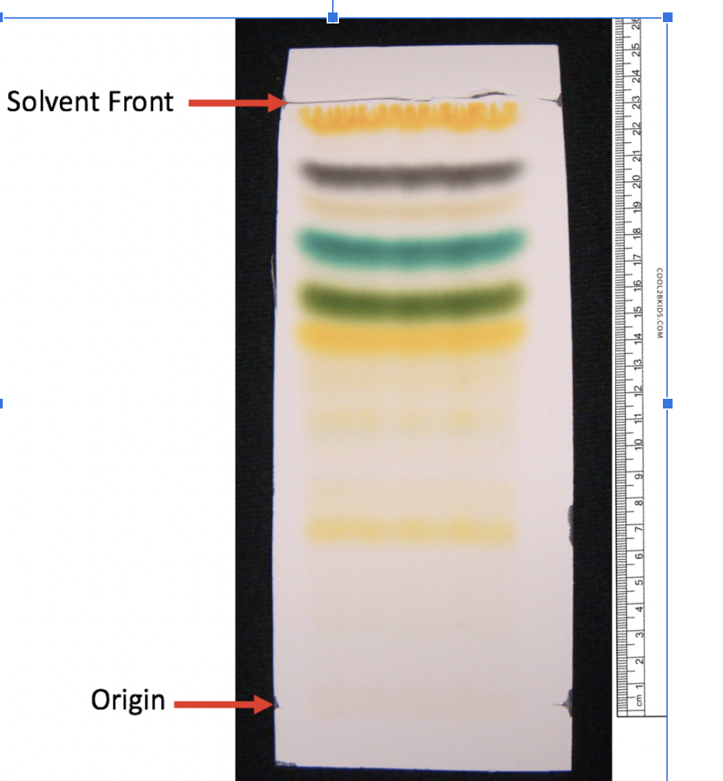 Solved Fill the chart using this picture. Add these | Chegg.com
