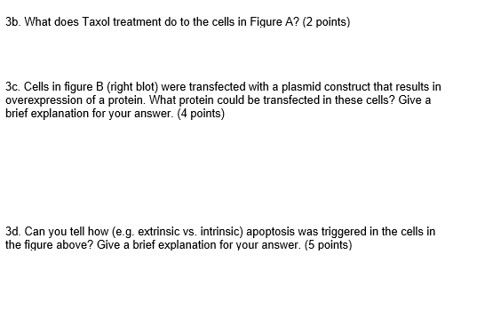 Please Explain 3a-c. I am really confused and would | Chegg.com