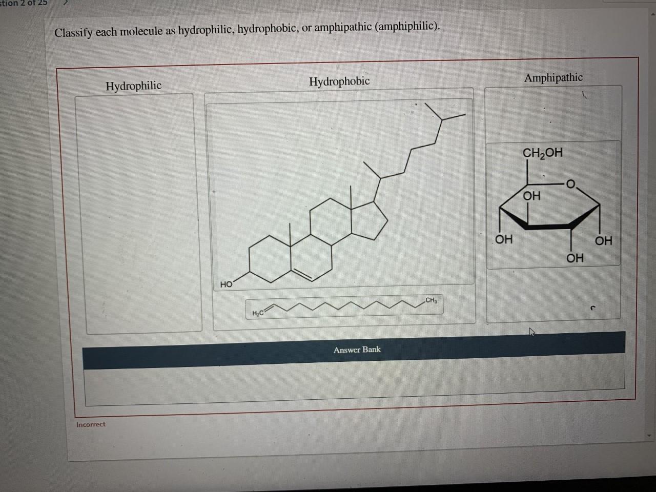 Solved stion 2 of 25 Classify each molecule as hydrophilic, | Chegg.com
