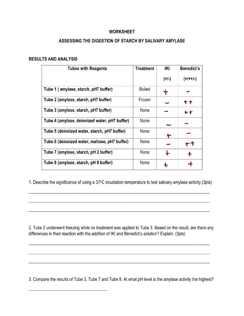Solved WORKSHEET ASSESSING THE DIGESTION OF STARCH BY | Chegg.com