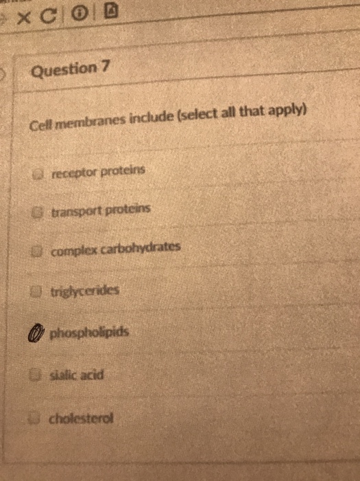 Solved ion 7 Cell Membranes Include select All That Chegg