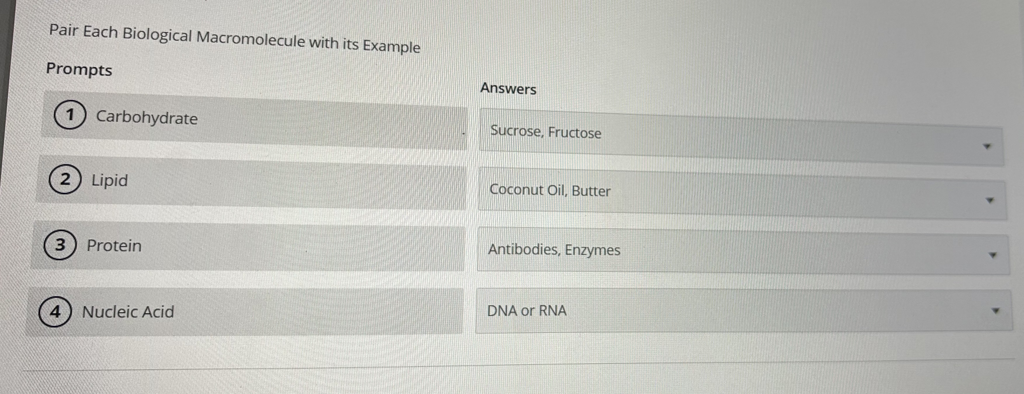 Solved Pair Each Biological Macromolecule with its | Chegg.com